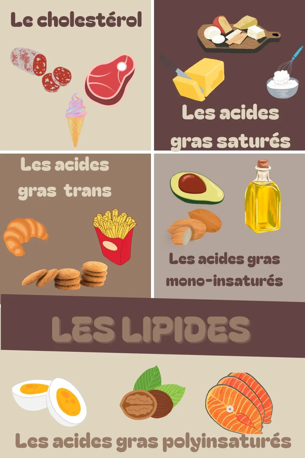 Les lipides pourquoi sont ils essentiels en 4 points.